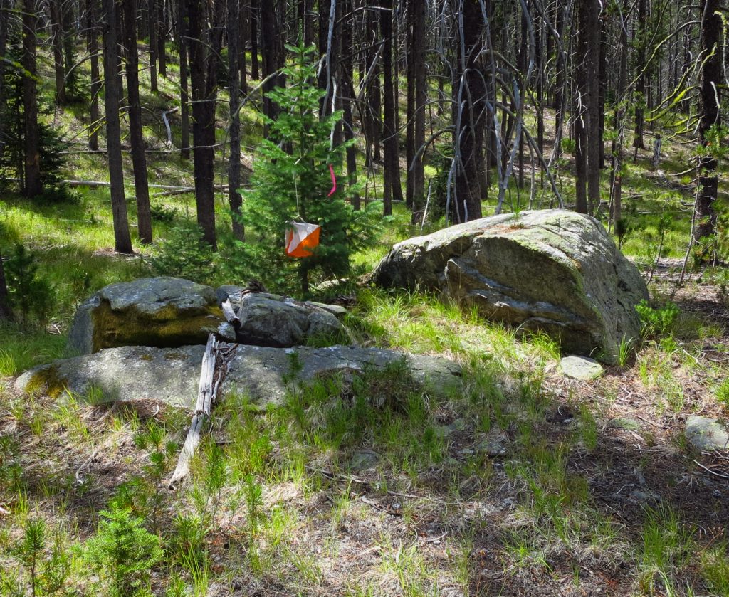 Ultimate Orienteer Series Wraps Up This Weekend - Don't miss out ...